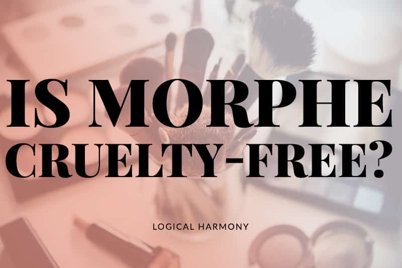 Is Morphe Cruelty Free Logical Harmony Is Morphe Cruelty Free Logical Harmony